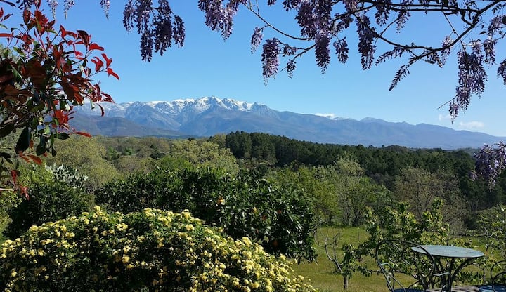 Encantadora Cabaña De Piedra & Cursos De Cerámica - Villanueva de la Vera