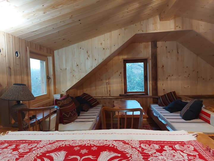 Osamljena Vlastita Kuča U šUmi, Na Osami - Rakovica