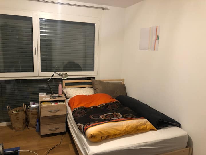 Chambre à Vevey à 2 Minutes De La Gare - Vevey