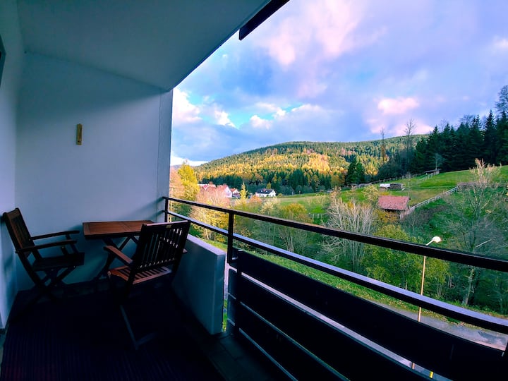 Ruhiges Schwarzwald Appartement Zum Entspannen! - Baiersbronn