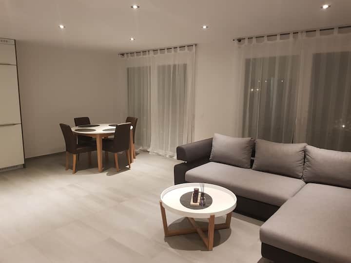 Ravissantes Chambres Ou Appartement - Fribourg