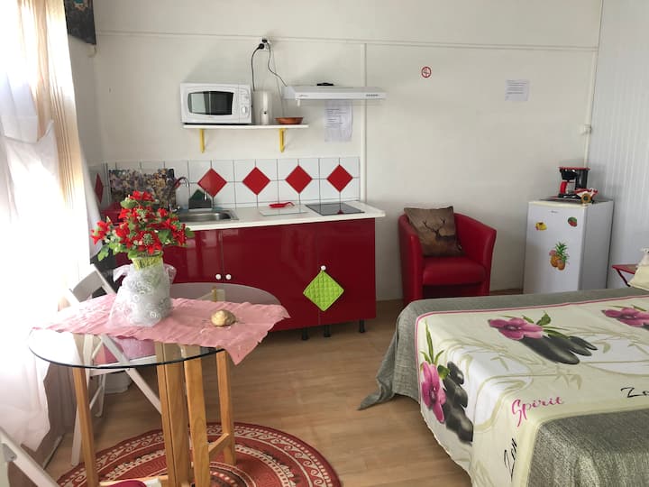 Studio En Résidence Privée - Fort-de-France