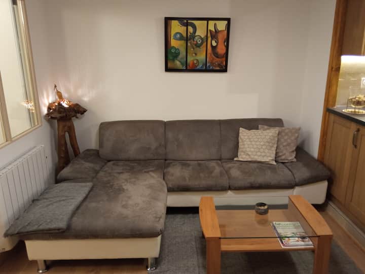 Joli Appartement Au Bord Du Doubs - Besançon
