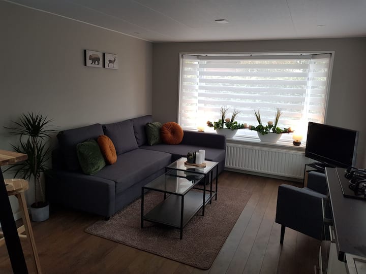 Modern Chalet Op De Veluwe Voor De Rust Zoeker - Putten