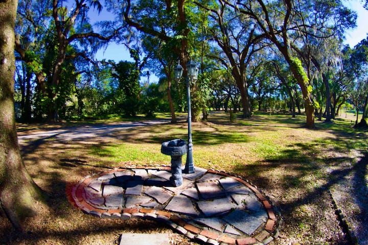 Busch Gardens Cheerful Home 3acres Free Parking/rv - Zephyrhills, FL