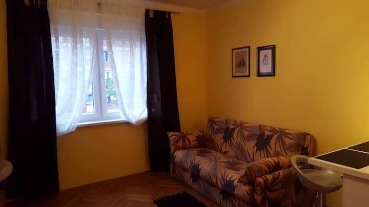 Basking In The Sun In Zagreb - Zagreb