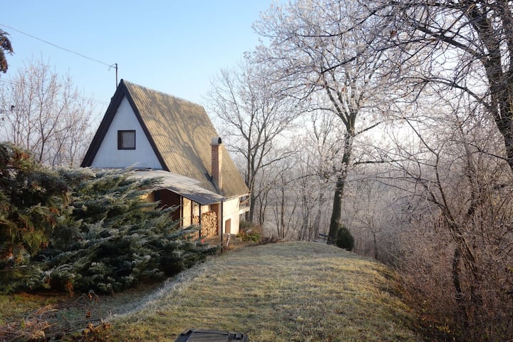 Hillside Woodland Chalet In A Private Garden! - Szentendre