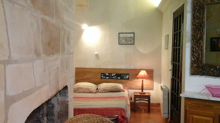 Grand Studio "Maison Tourangelle" - Tours