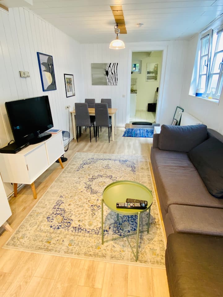 Souterrain-wohnung In Oldenburger Stadtvilla - Oldenburg