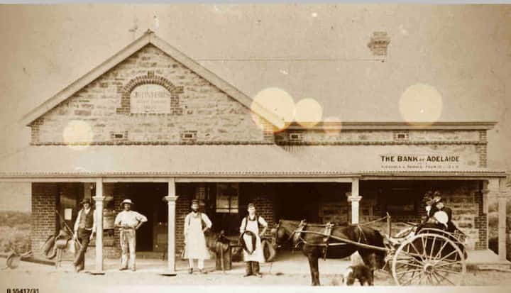 The Saddlers -Mclaren Vale - McLaren Vale