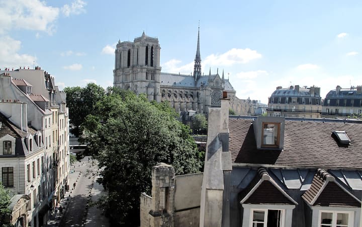 Notre-dame Duplex In The Sky - Paris