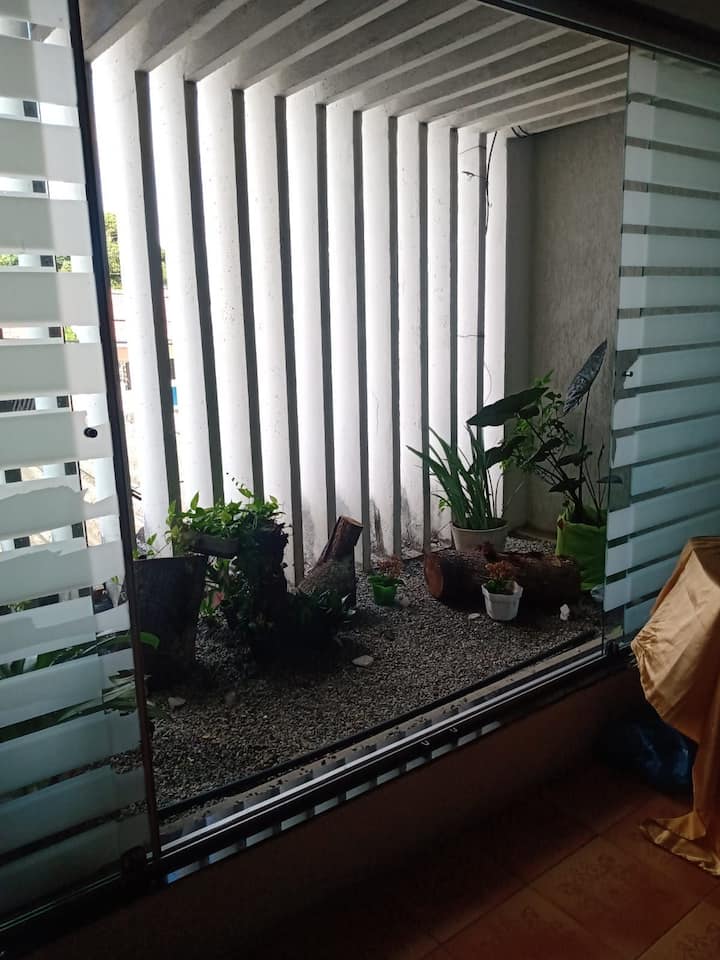 Casa Agradável,ventilada, Excelente Localização - Natal
