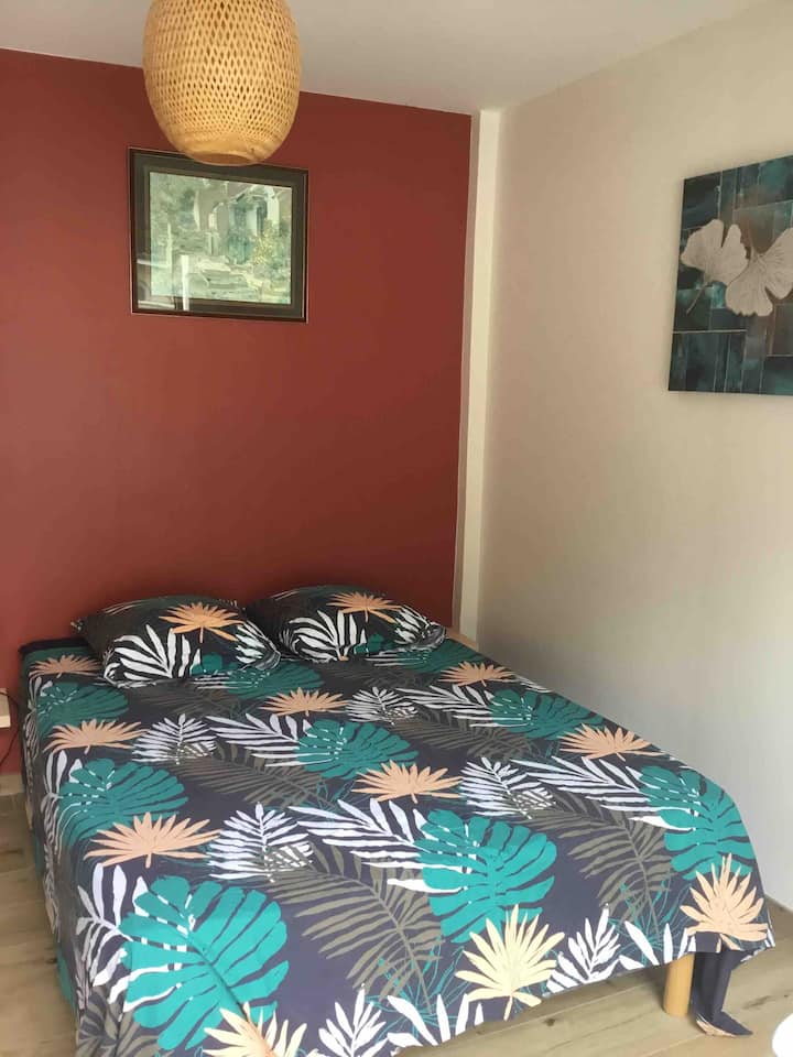 « Manocean 1 ", Chambre Double Avec Piscine - Gujan-Mestras