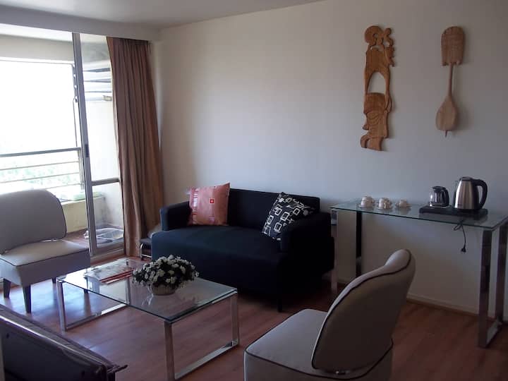 Acogedor Departamento - Cosy Apartment - Las Condes