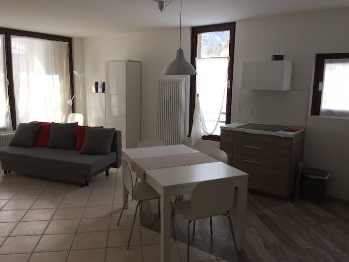 Appartamento Per Vacanze A Pinzolo - Pinzolo