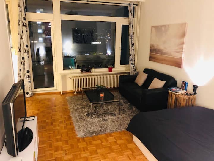 Your Bright Place In Geneva - Ginevra