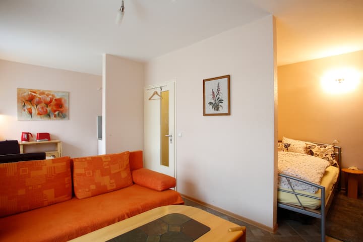 Apartment In Salzgitter,lebenstedt - Salzgitter