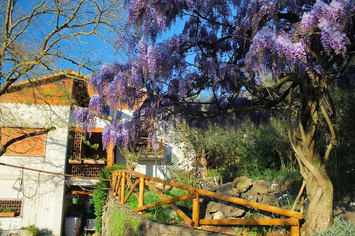 Beautiful Independent Apartment - Pérouse