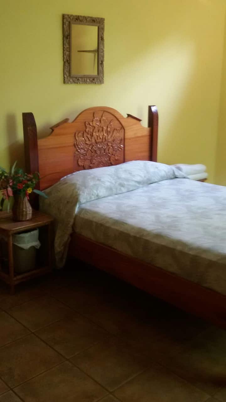 Room In Tropical Paradise #1 - Costa Rica