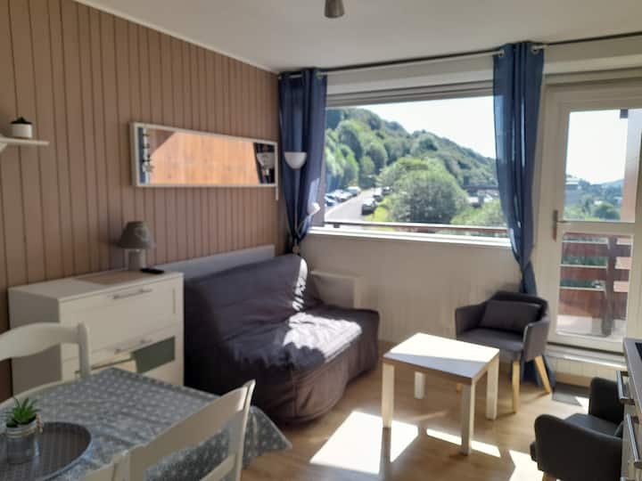 Studio Aux Pieds Des Pistes - Lac des Hermines