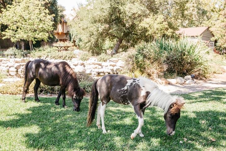 Top 7 Ranches In Los Angeles, California - Updated 2022 | Trip101