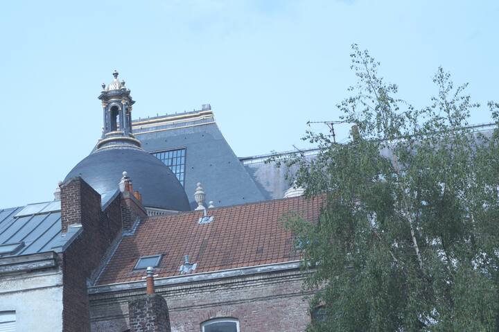 Studio Hypercentre Lille - Lille