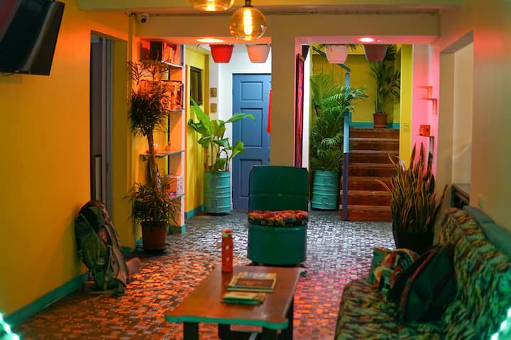 Cama En Habitacion Compartida Solo Para Mujeres - San José