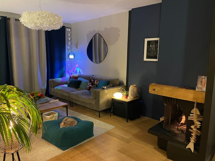 Vannes , Maison Cosy Rénovée, Idéalement Située. - Vannes