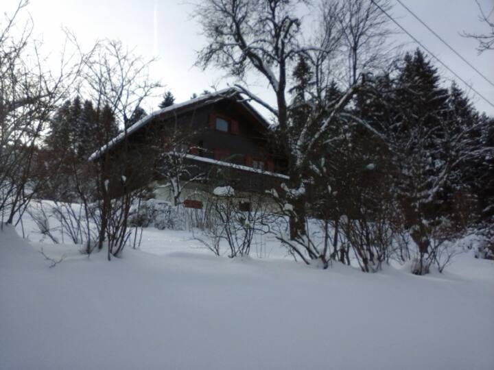 Chalet Au Coeur Des Vosges, Montagne Et Sauna - Saulxures-sur-Moselotte