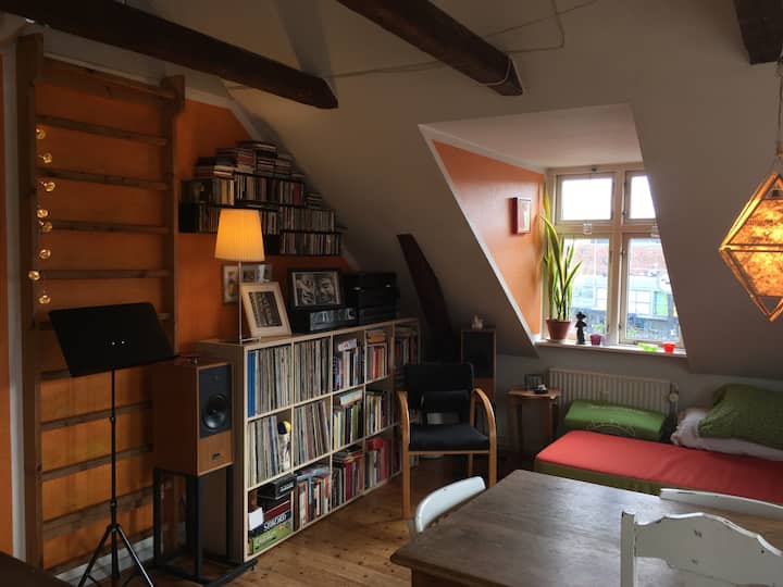 Charmerende Musikerbolig I Hjertet Af Aarhus - Aarhus