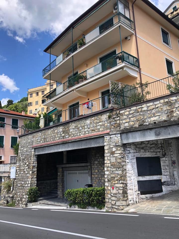Luce Azzurra Camogli - Camogli