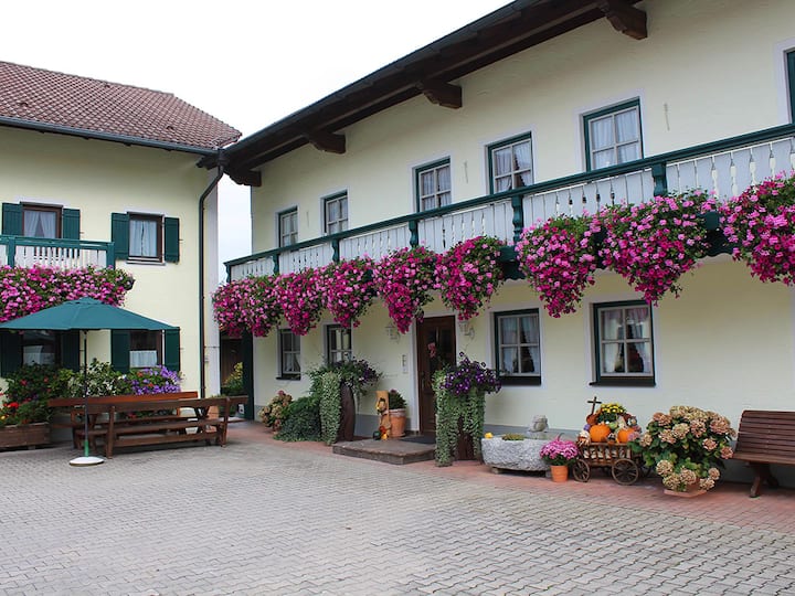 Fewo Iv Mit Terrasse (Ferienhof Obermaier) - Bad Birnbach