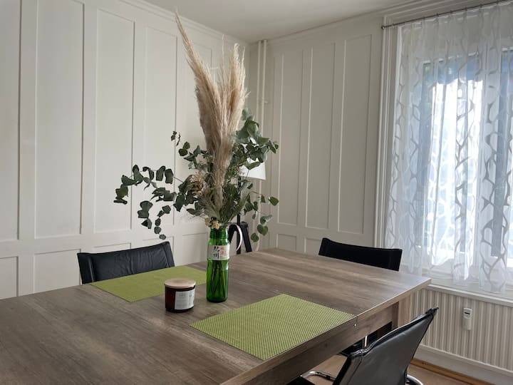 2-rooms Apartment, Fully Furnished - Saint-Gall