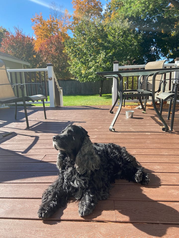 Prime Track Rental - Walk To Track & Downtown! - Saratoga Springs, NY