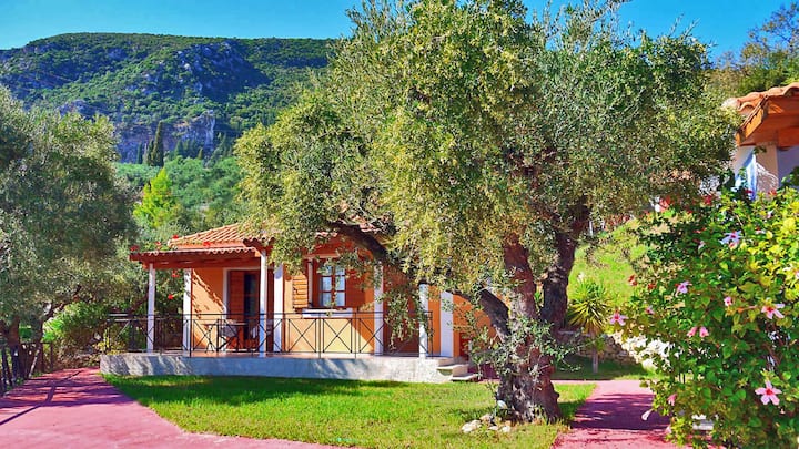 Archontiko Villa 1 - Zakynthos