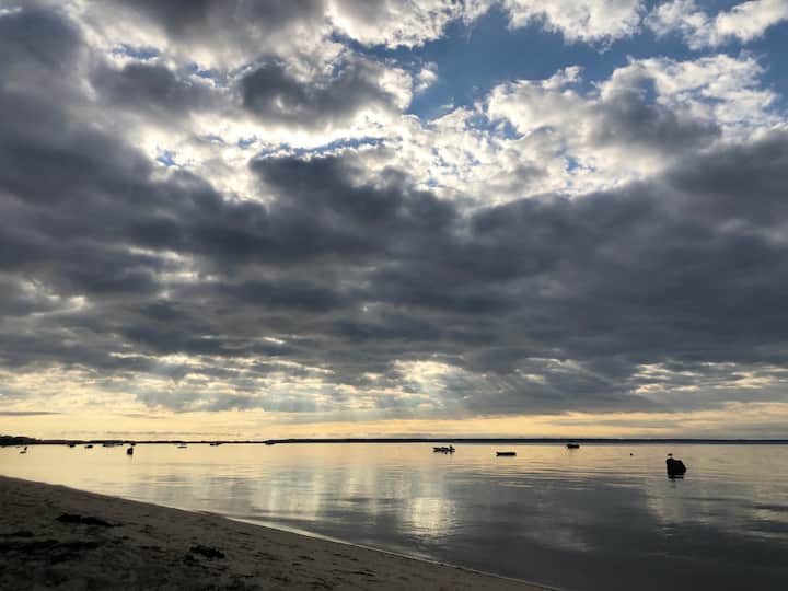 The Beach Rose: Pet Friendly 1 Bdr Steps To Beach - Provincetown, MA