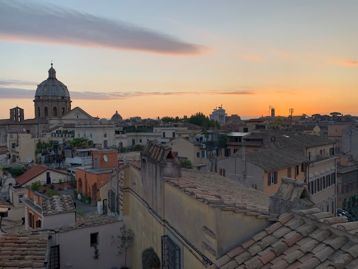 Nido Sui Tetti Di Roma - Roma