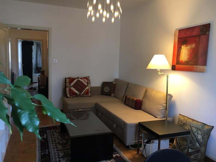Spacious, Sunny 1-br Apt Close To Un W/ Balcony - Kanton Genf
