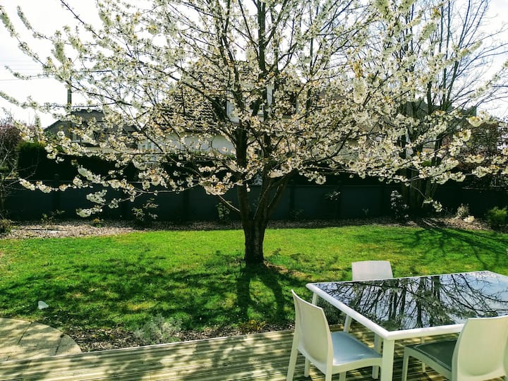 Maison Avec Jardin Et Terrasse à Caen - Caen