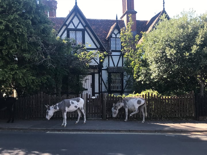 Cosy Cottage In The Forest - Brockenhurst