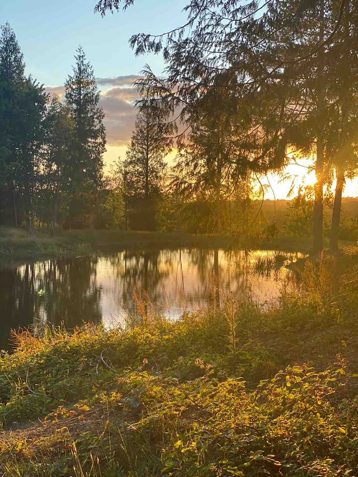 H Lake Camper Van/ Camping Pitch/ Wild Camping - Brighton and Hove