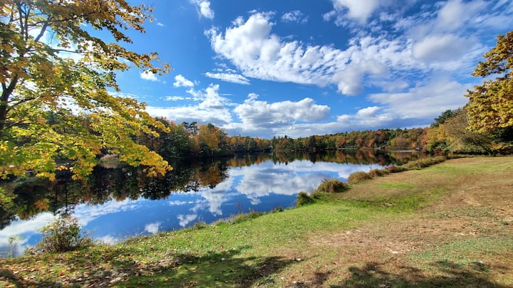 Forest In The Back, Lake In The Front - Pocono Lake, PA