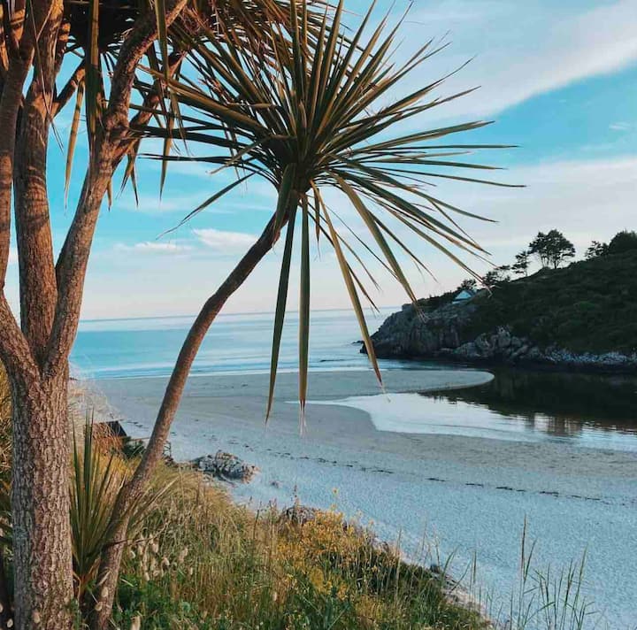 Appartement Avec Terrasse & Vue Mer, Plage à Pied - Port Manec'h