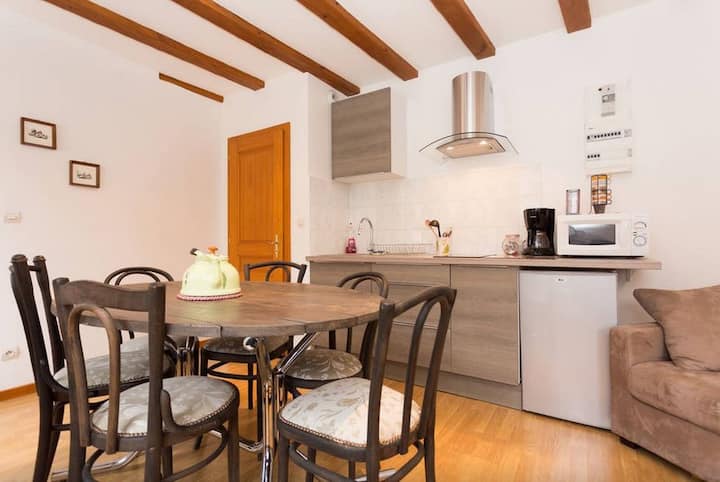 Appartement De Charme Cosy F2 Cœur Historique - Colmar