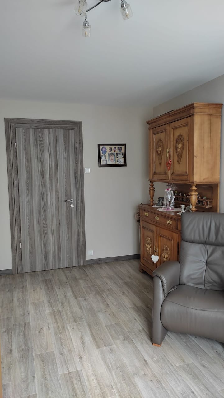 Gite Des Potiers - Haguenau