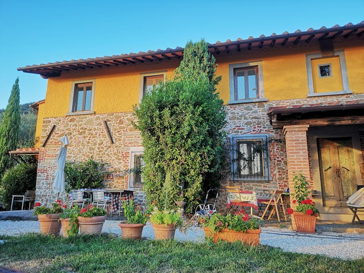 Larciano,podere La Canessina, App1 - Pistoia