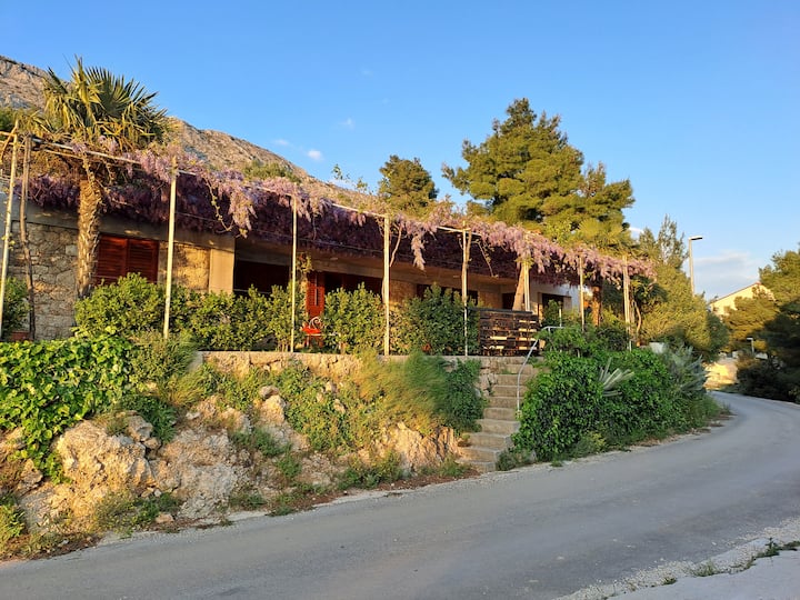 Agava Apartment - A1, Omiš, Stanići, Balića Rat 8 - Omiš