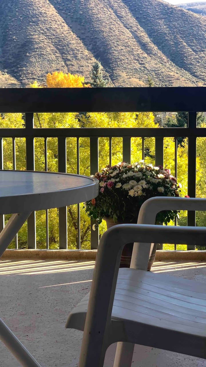 Avon 1 Bed 1 Bath W/ Balcony – Walk To Gondola! - Beaver Creek, CO