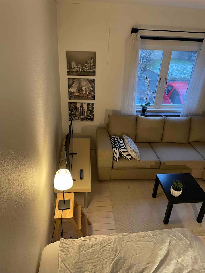 Fin Och Mysig 1:a I Majorna. Nära Slottskogen! - Gotemburgo