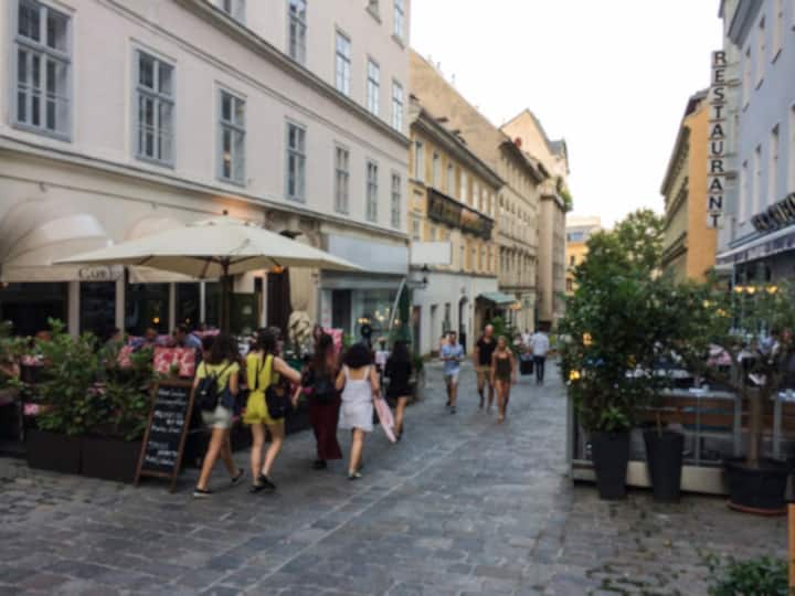 Lovely City Apartment - Vienna